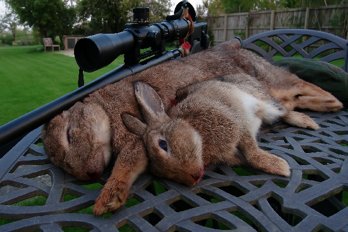 Rabbit Shooting Near Me | Australian Marksmanship Services